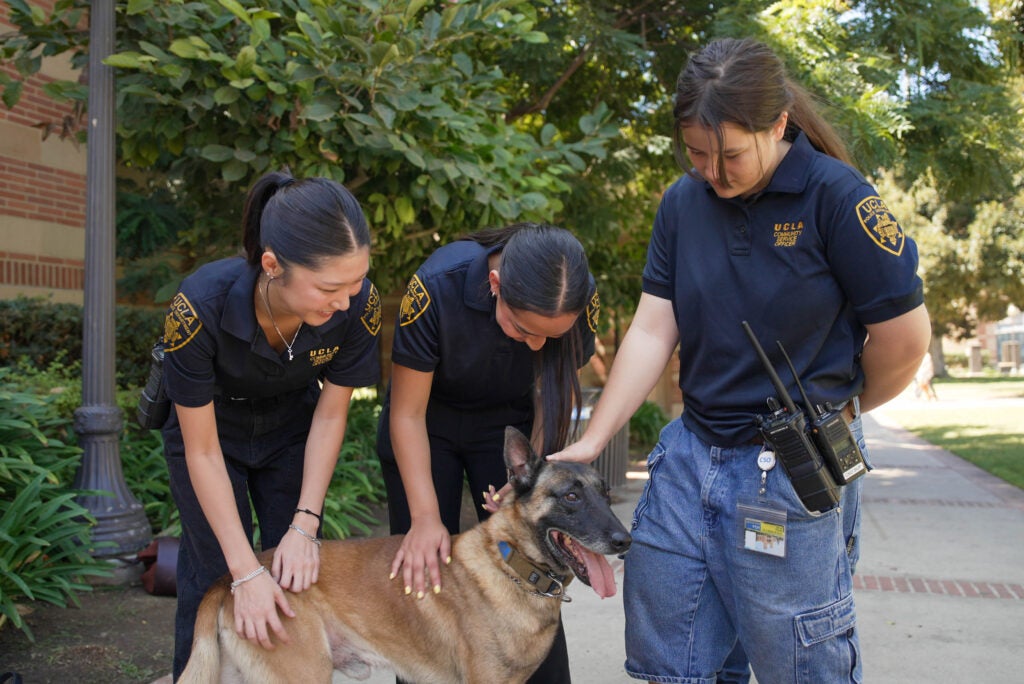A Message from Associate Vice Chancellor Steve Lurie (’94) - Office of Campus & Community Safety ...